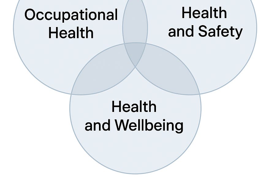 Which Model of Work and Health Works Best? A Conversation with Amanda ...