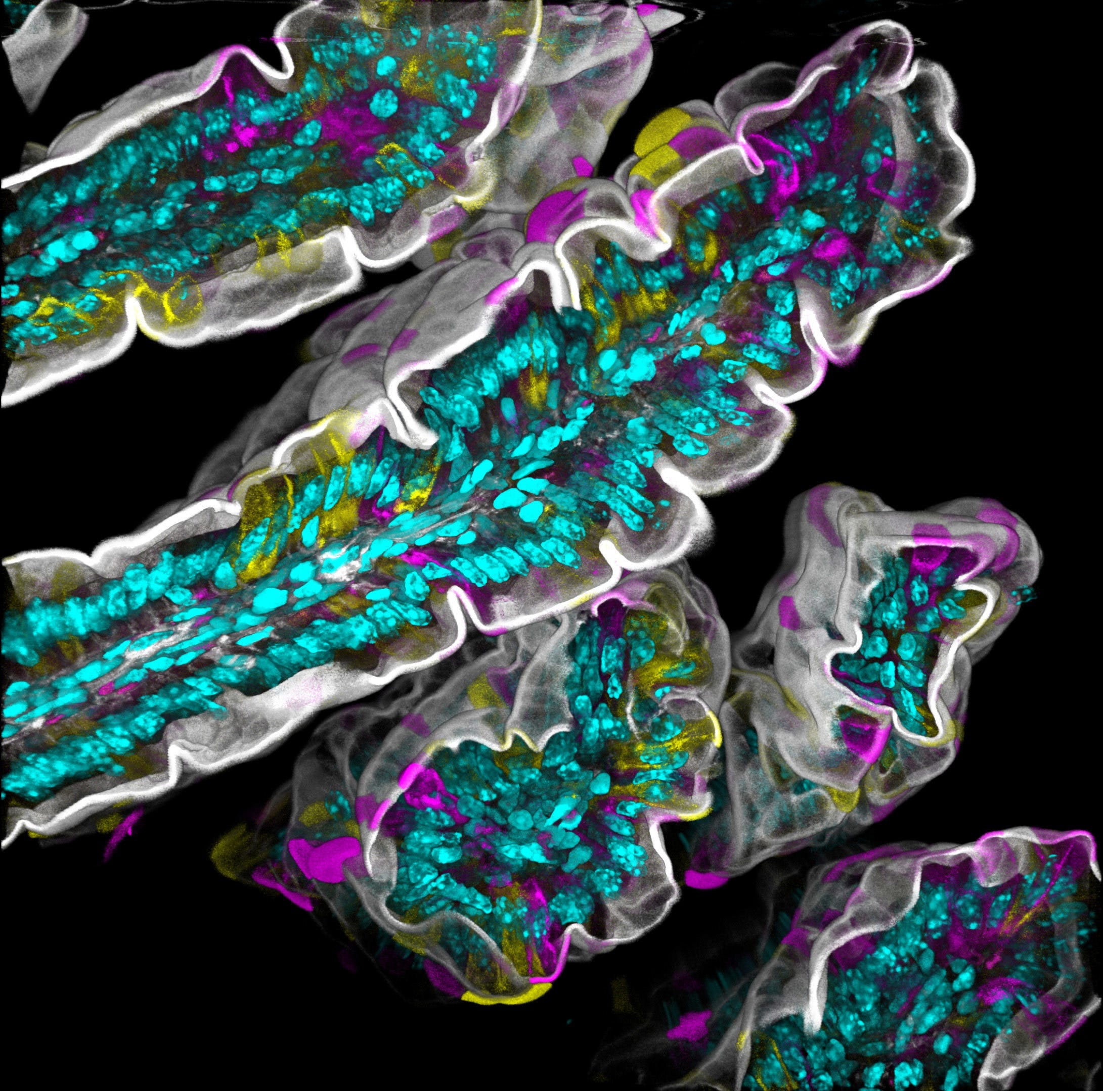 The Curious About Everything Newsletter #58