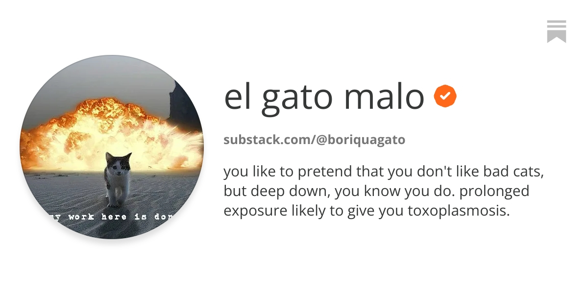 el gato malo | Substack