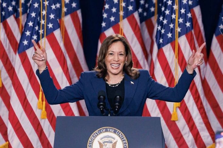 Democrat Platforms: What the Democratic Party Stands For in 2026 ...