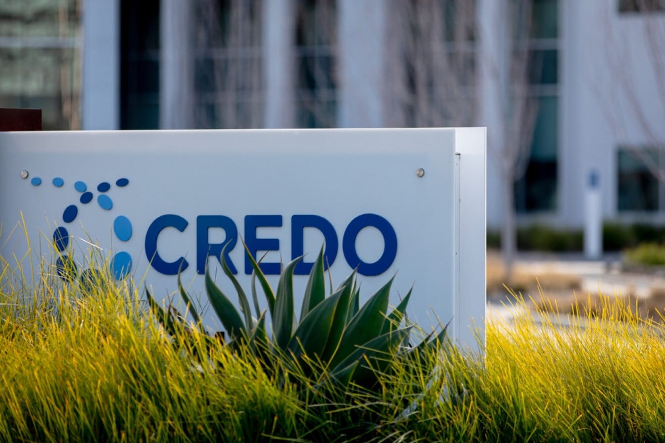 The Connectivity Fabric of the AI Era: The Case for Credo Technology Group