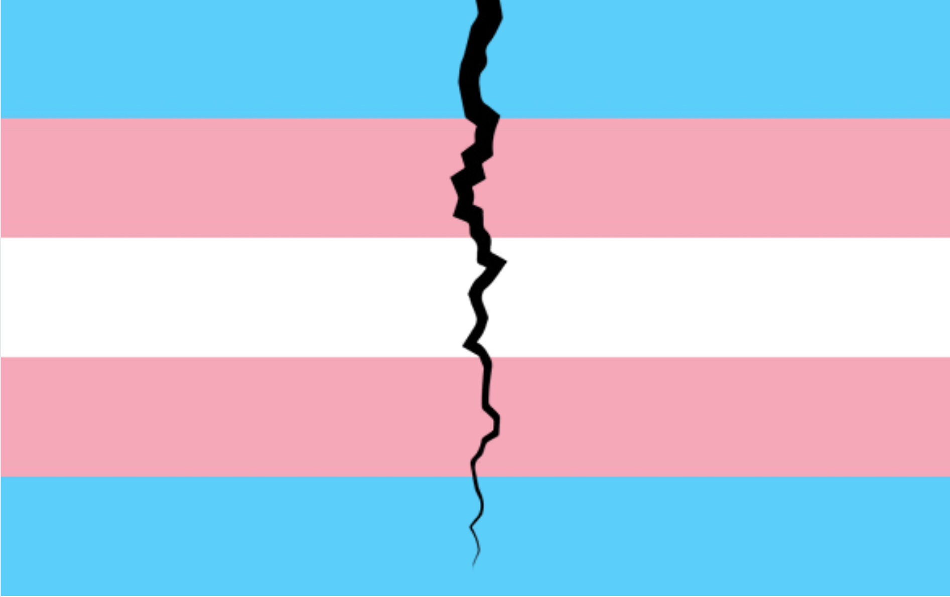 How a Free Speech Group Helped Right-Wing Dark Money Undermine ...