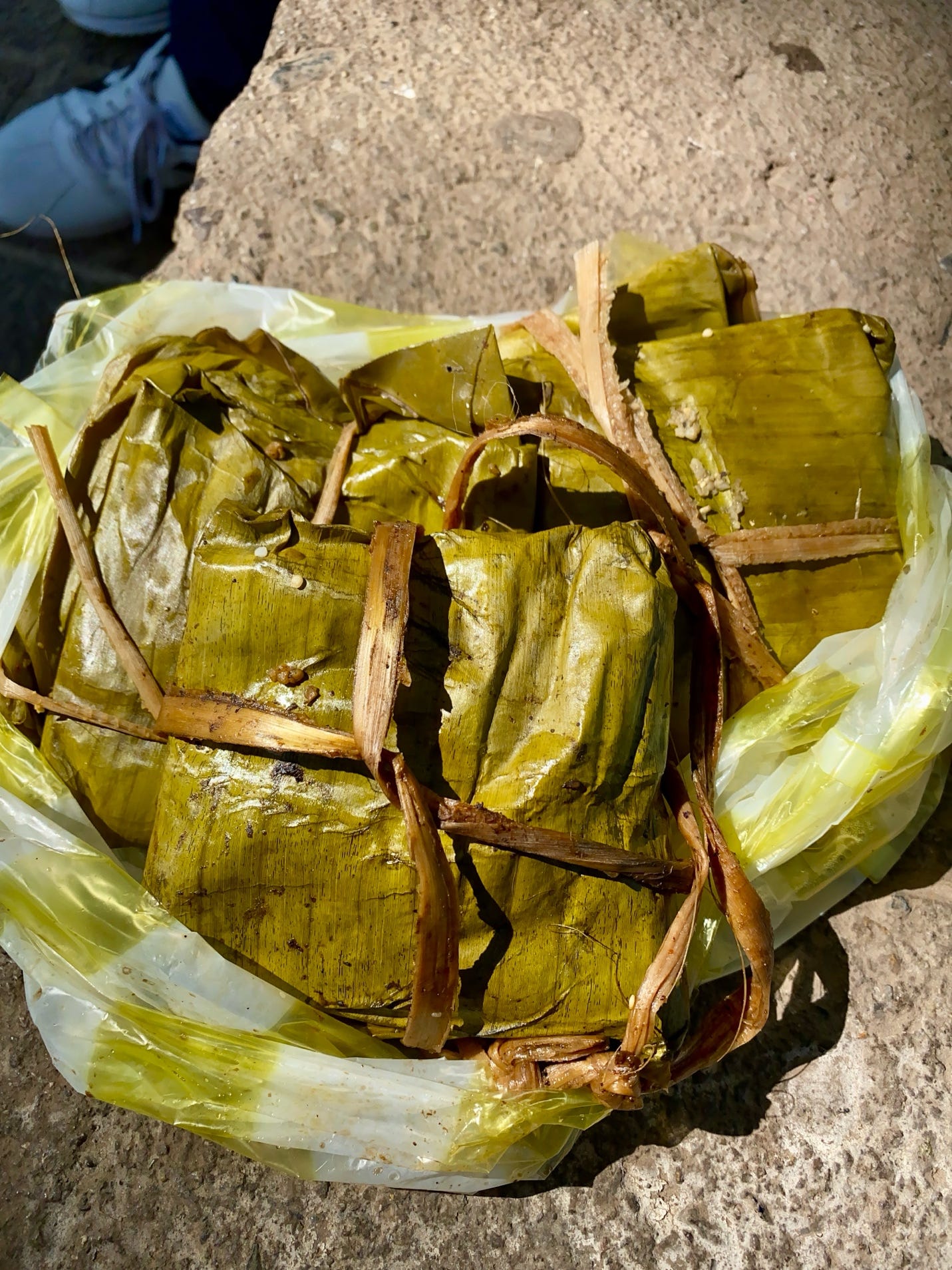 Tamales FAQ: How to Fix Masa, Filling, and Steaming Problems