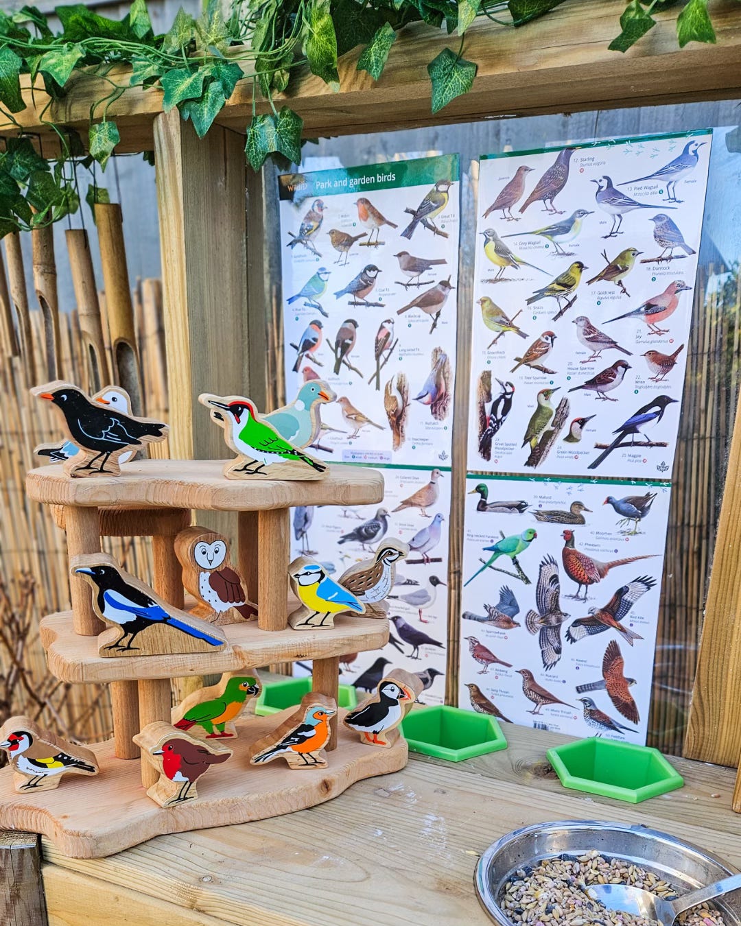 10 Bird Activities - Play Days With Jess
