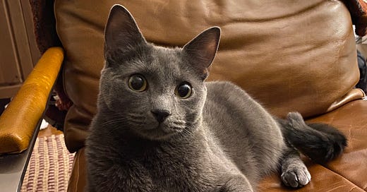 The Love List by Emma Lovewell | Substack