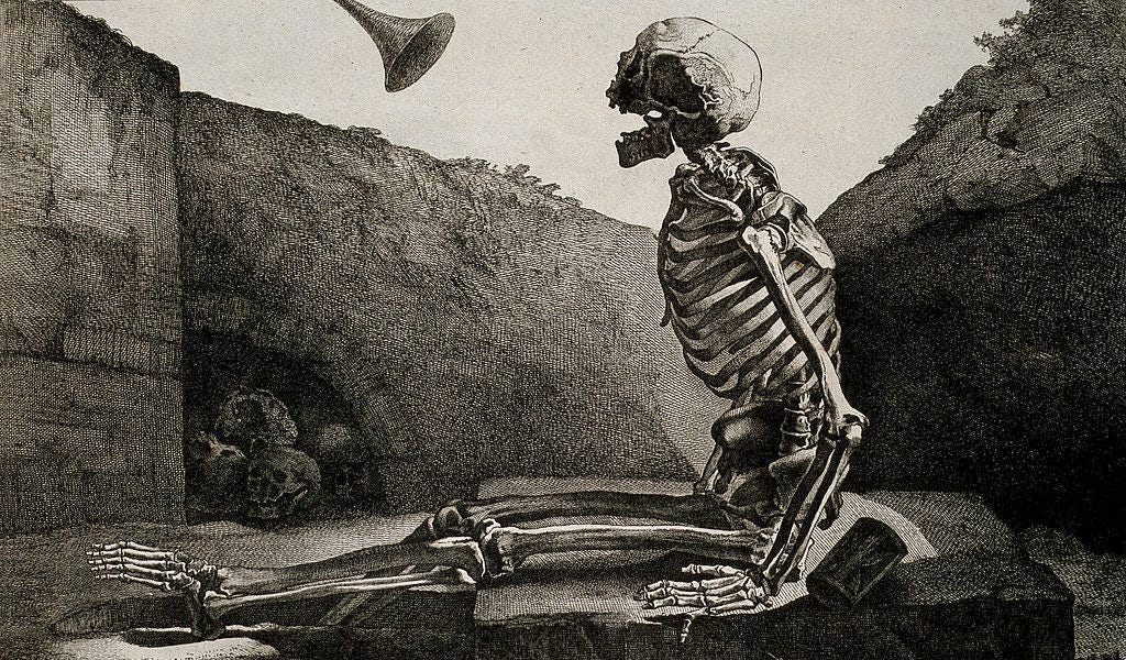 Law & Society: The Human Condition - The Docket