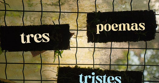 Cuerpos de Agua | Matías Plass | Substack