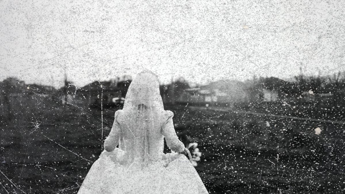 One Day - From a Bearded Guy - John van der Veen