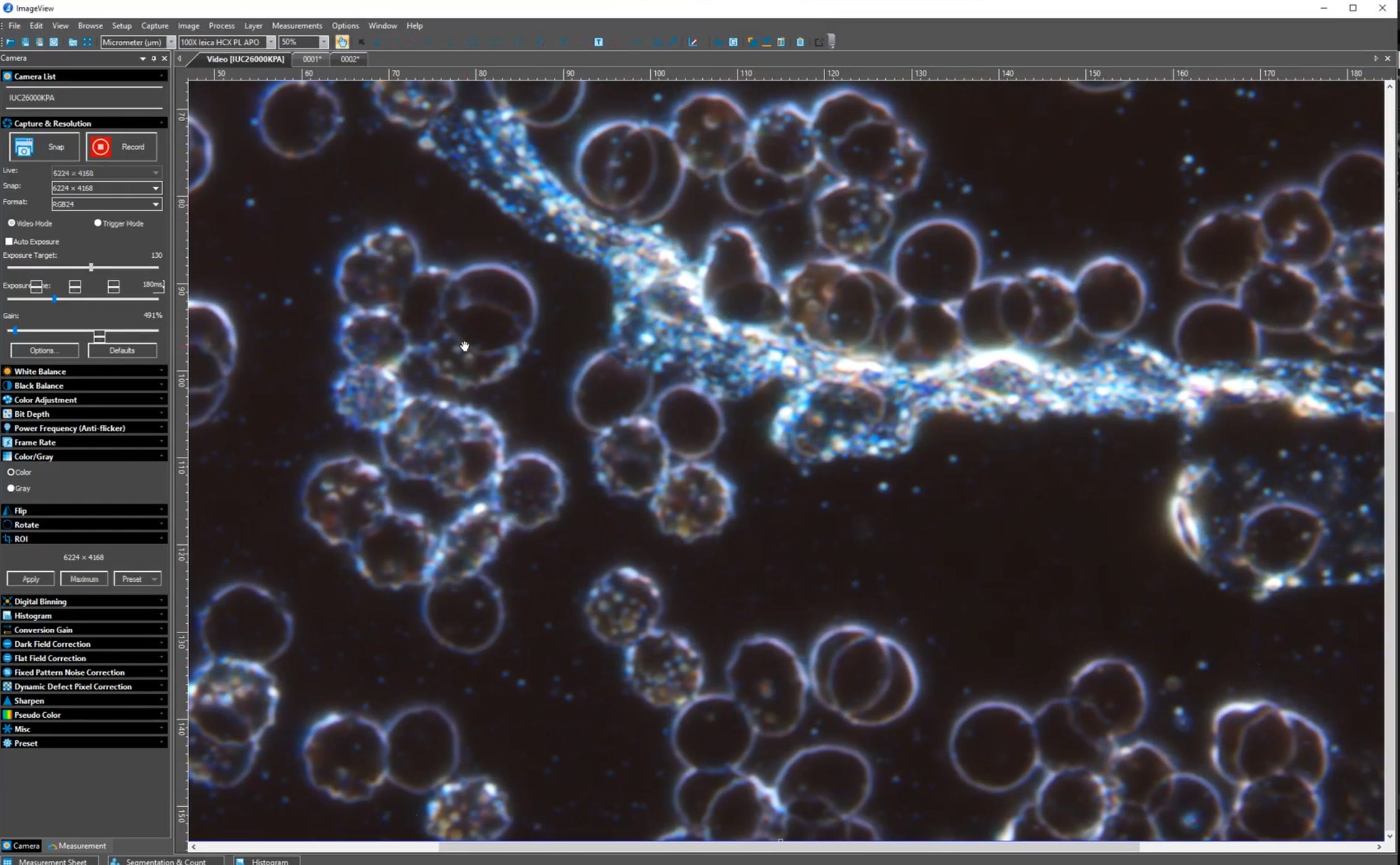 Blood videos, Synthetic invasion. - Karl.C’s Substack