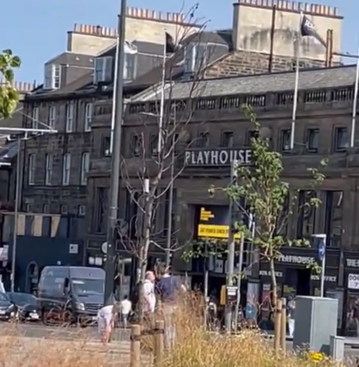 Can Edinburgh keep its million trees alive and healthy?