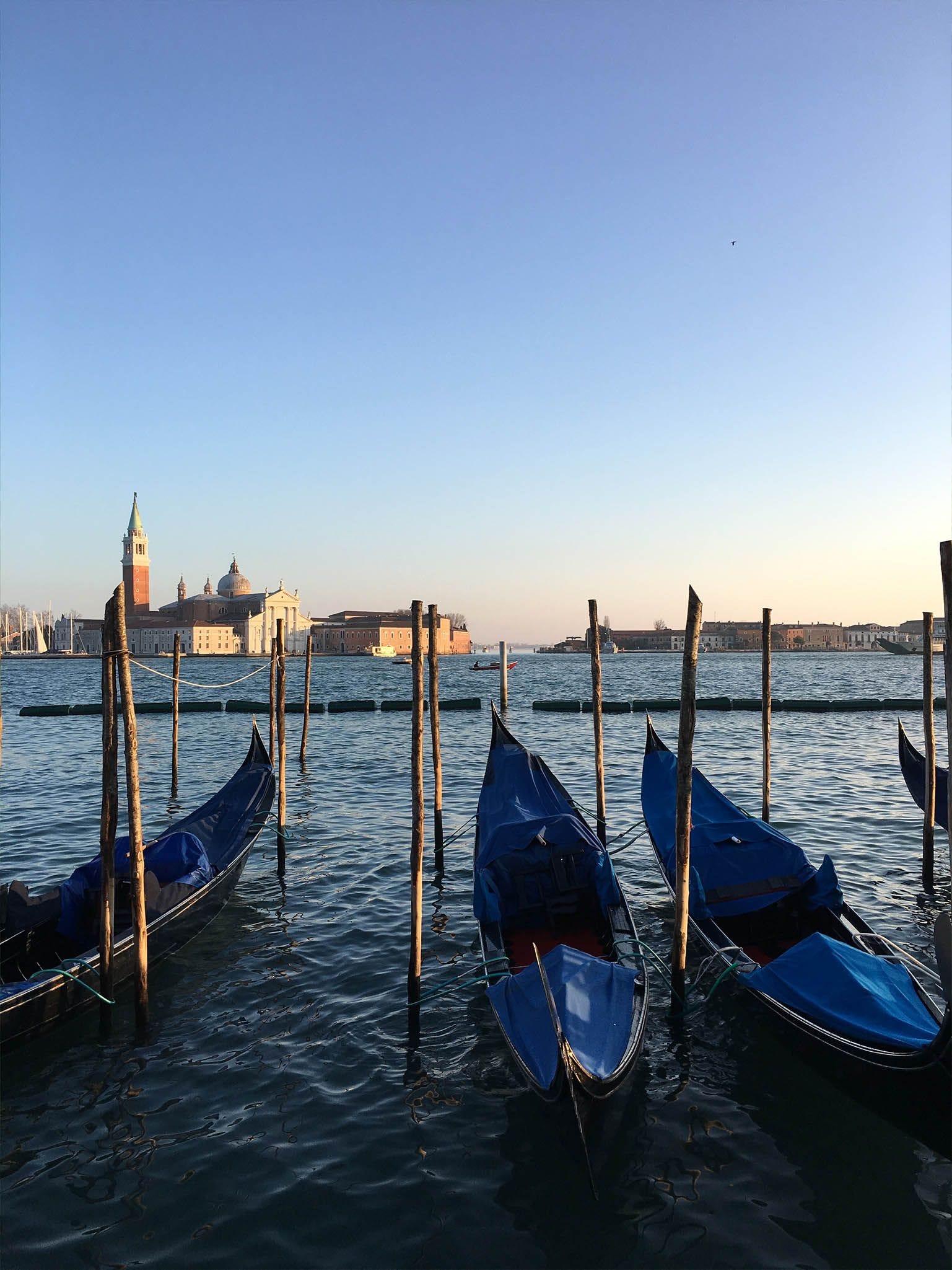 Insider's Guide to Venice - by Willow Crossley