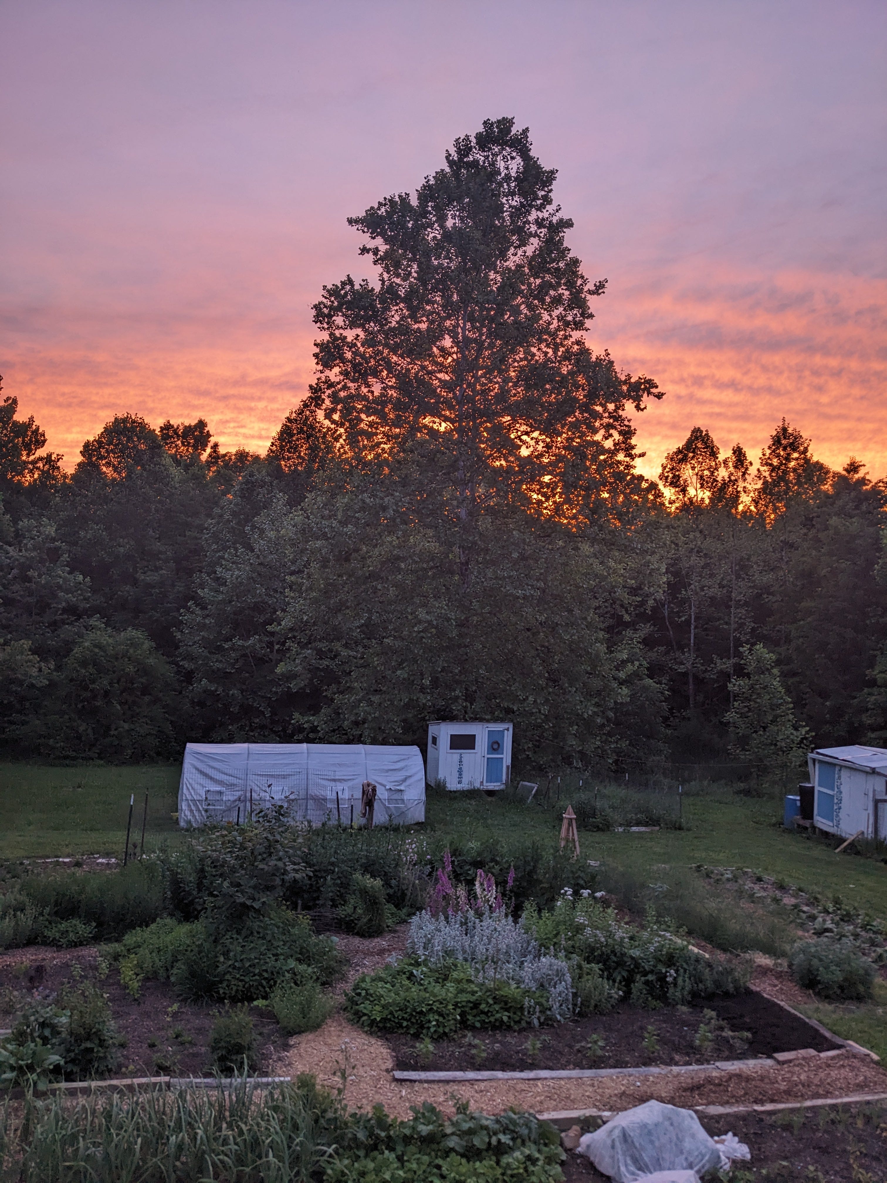 May & June 2026 Monthly Magic at Rising Herb Farm!