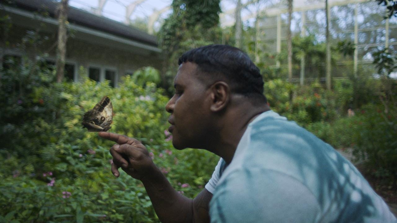 The 25 Best Documentaries Of 2025 - by Christopher Campbell