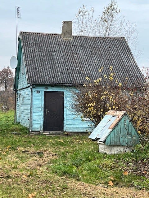 The Little Blue House - by Joanne Fedler