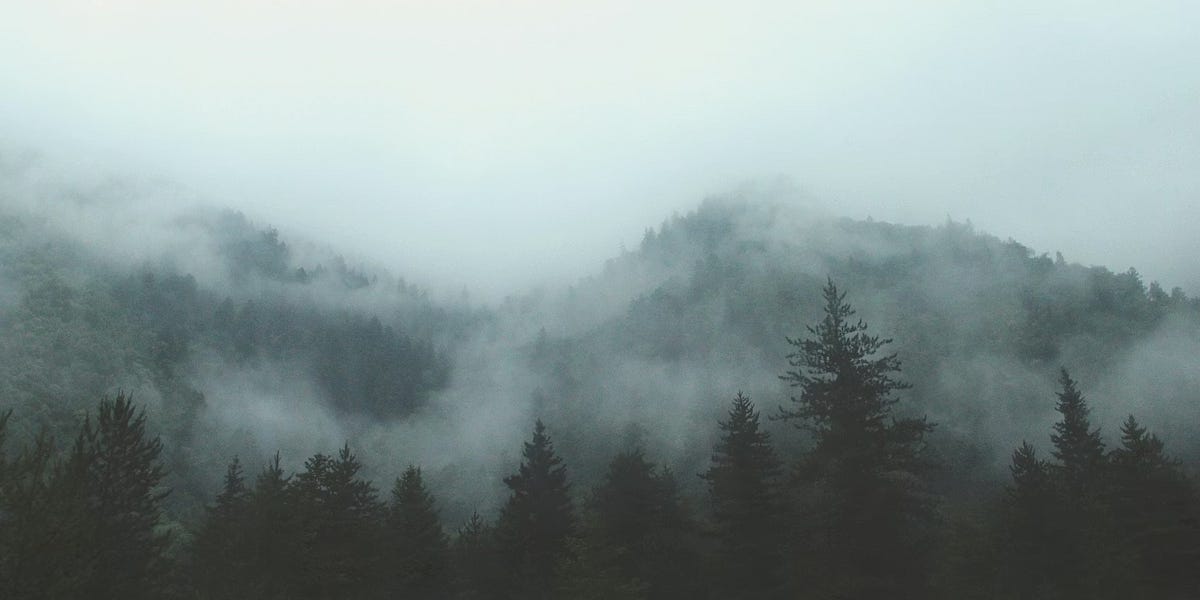 The Weaponization of Perceptions, Part II - by Wade Mullen