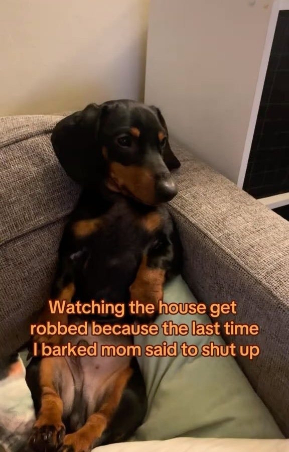 WTF does it mean to “act like an owner”?