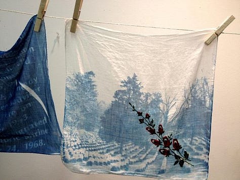 Exploring Cyanotypes: A Beginner’s Guide to This Unique Cameraless ...