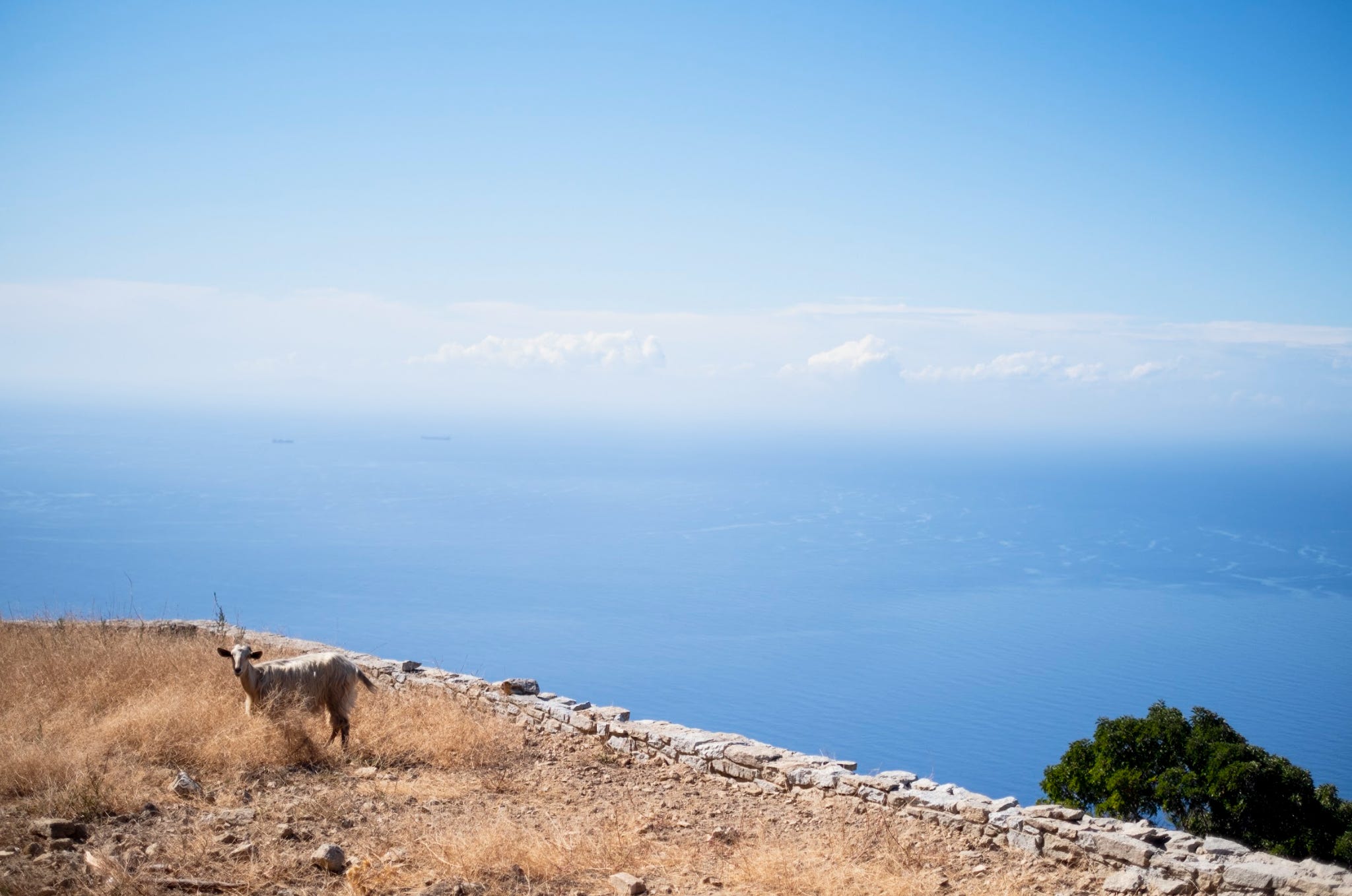 Partying and living longer - the two go hand in hand in Ikaria