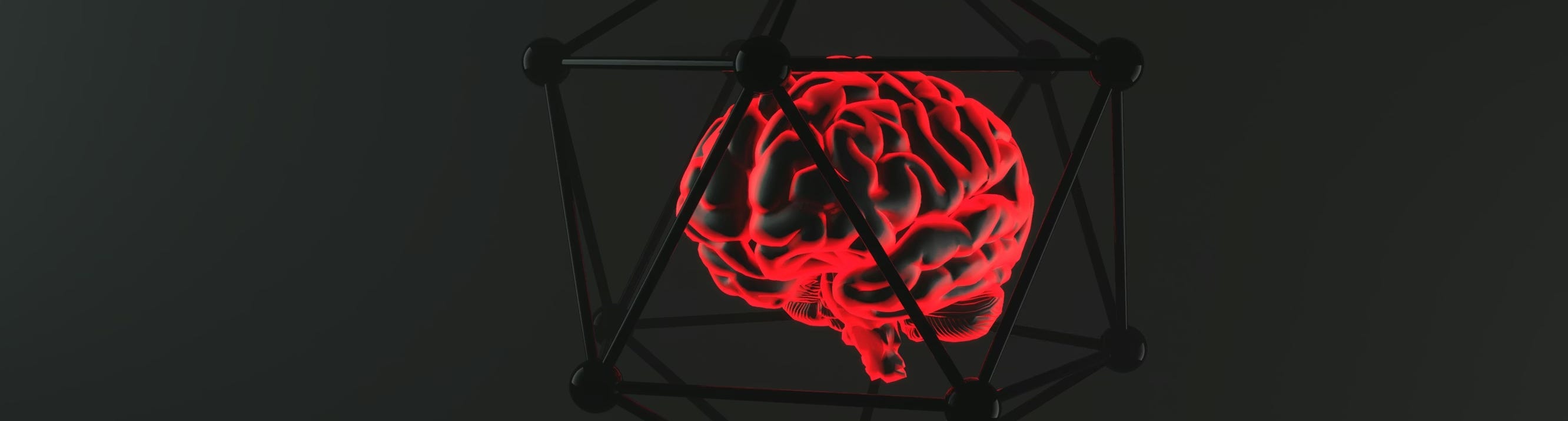 The Anterior Midcingulate Cortex: Your Brain's Discipline Center