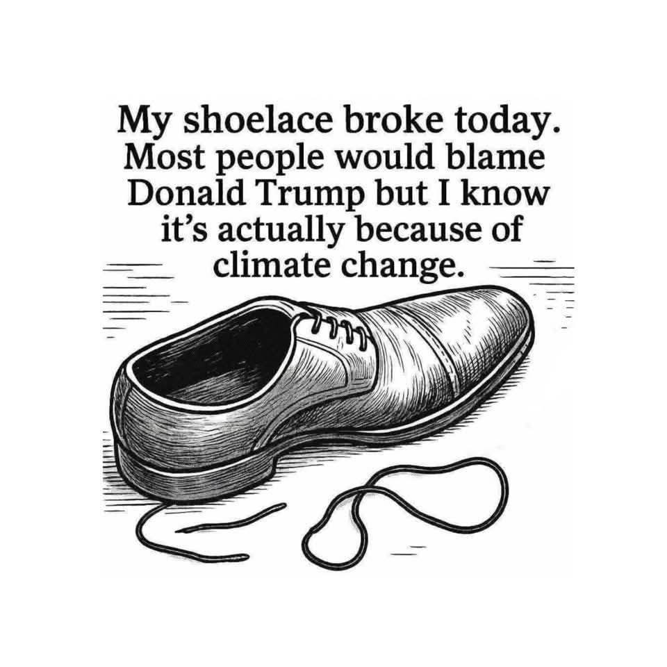 MONDAY MORNING MEME DUMP (#282) - by Tyler Zed