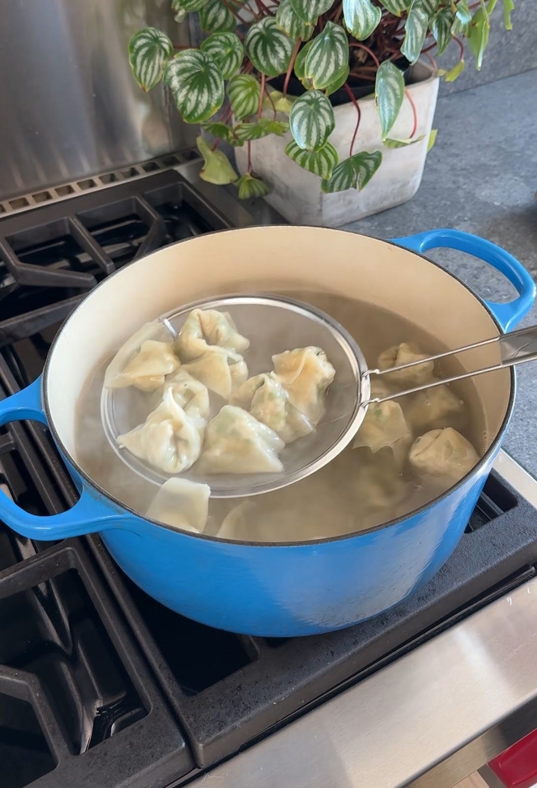 Holiday Gift Guide & What I Cooked Last Week