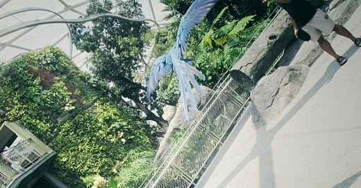 Somewhere, elsewhere | (lu) he/him | Substack