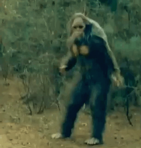 Old Ned's Devil: The Monkey Man of the Shroppie