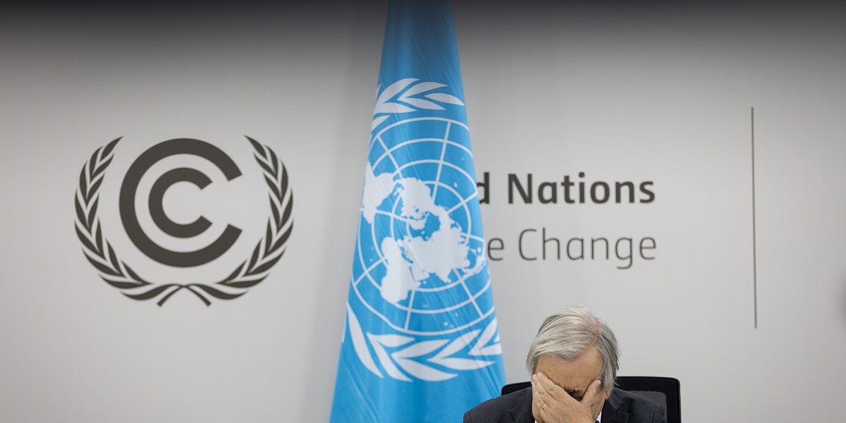 Climate Diplomacy Brief - COP30 day 11