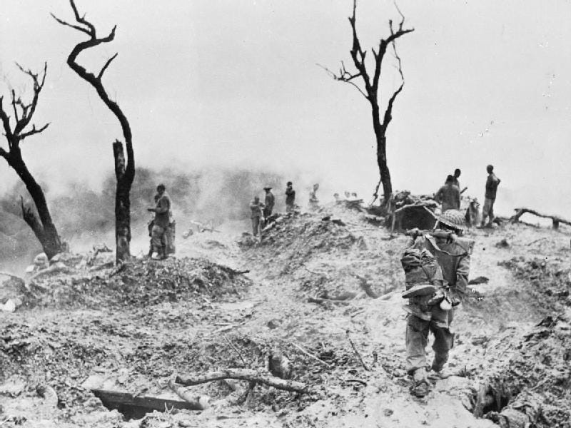 Ecological impacts of the war machine