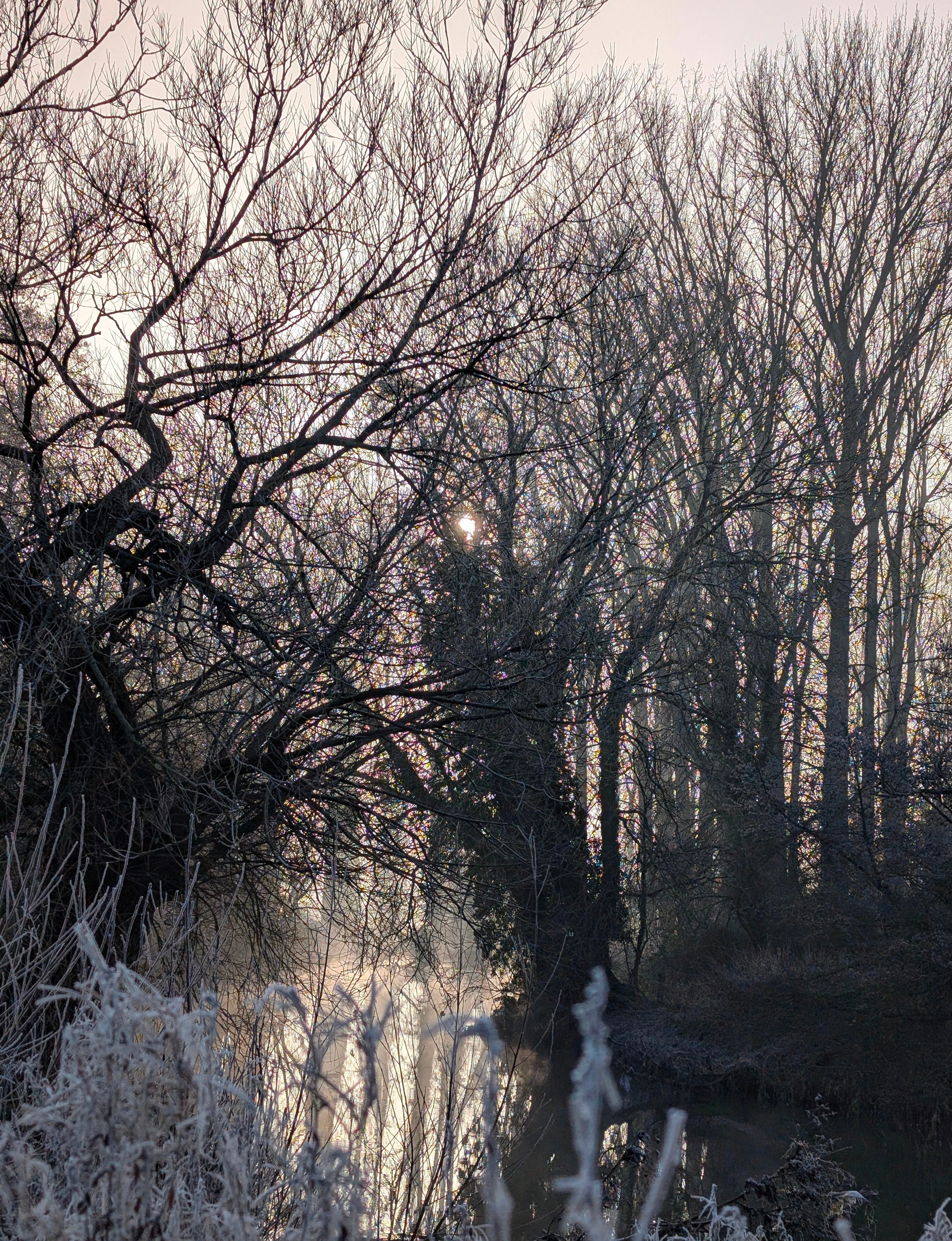 January Full Moon Reflections: Wolf Moon -.Being Enough Without Giving ...