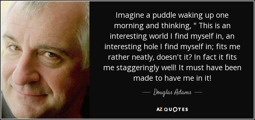 The Failure of the Puddle Analogy - by Bentham's Bulldog