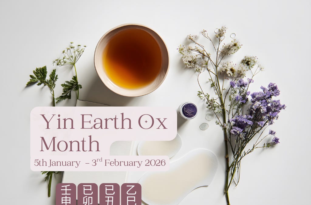 January 2026 Monthly Energy Forecast - Yin Earth Ox (已丑)