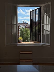 Margot Lee | Substack