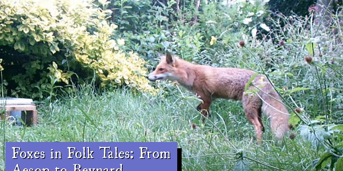 Foxes in Folk Tales: From Aesop to Reynard