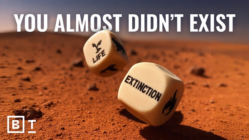 Big Think | Substack