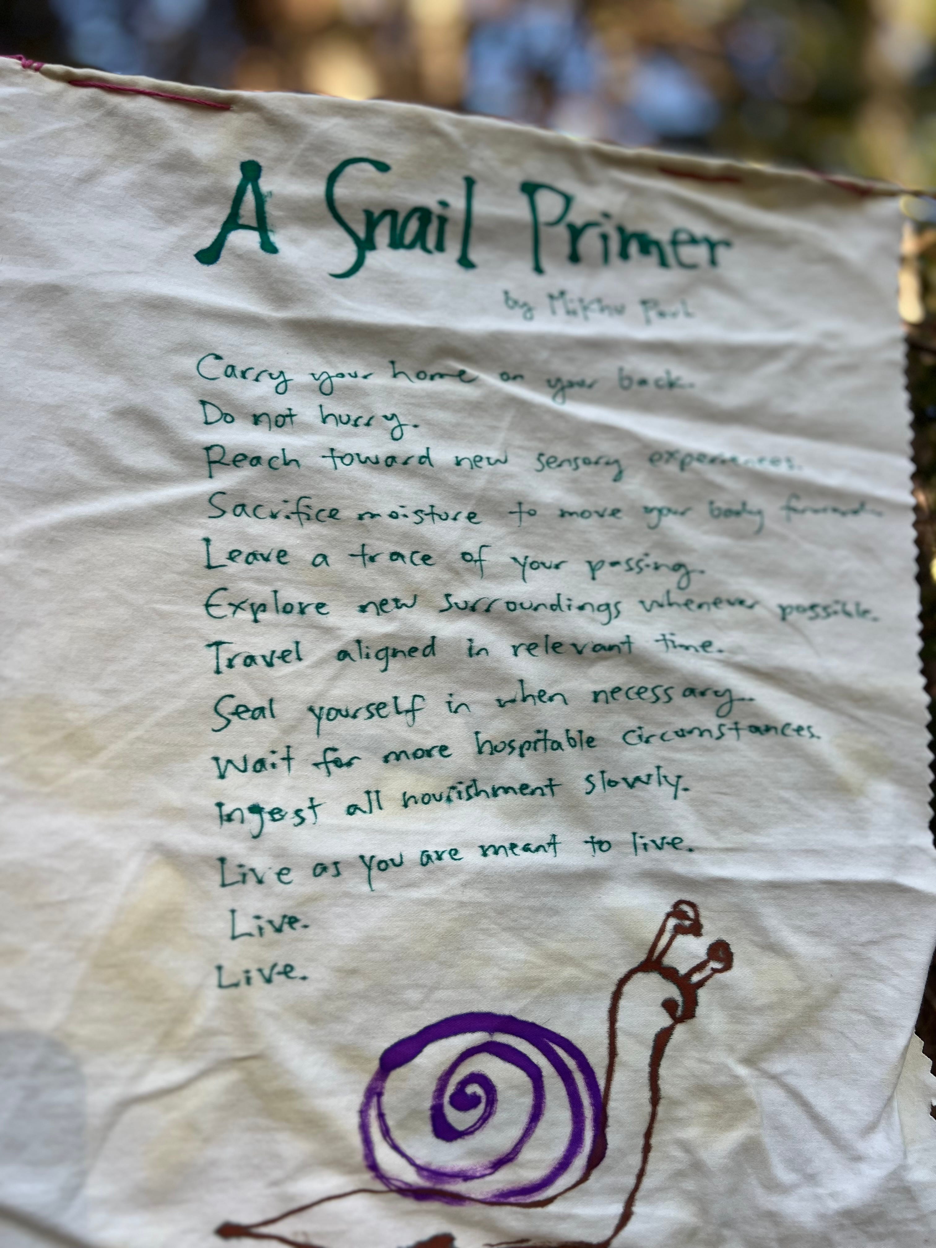 Seeds, Snails & Poetry for Fall - Growing Kin with Fruition