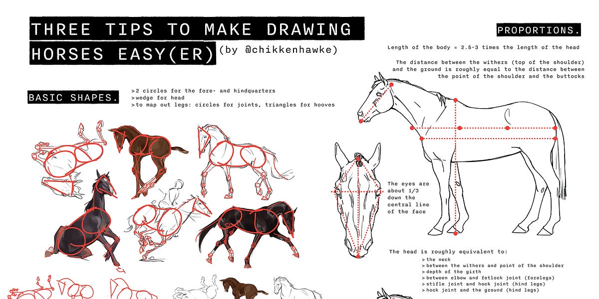 Drawing Horses: General Proportions - by Naomi - Art Nerds!