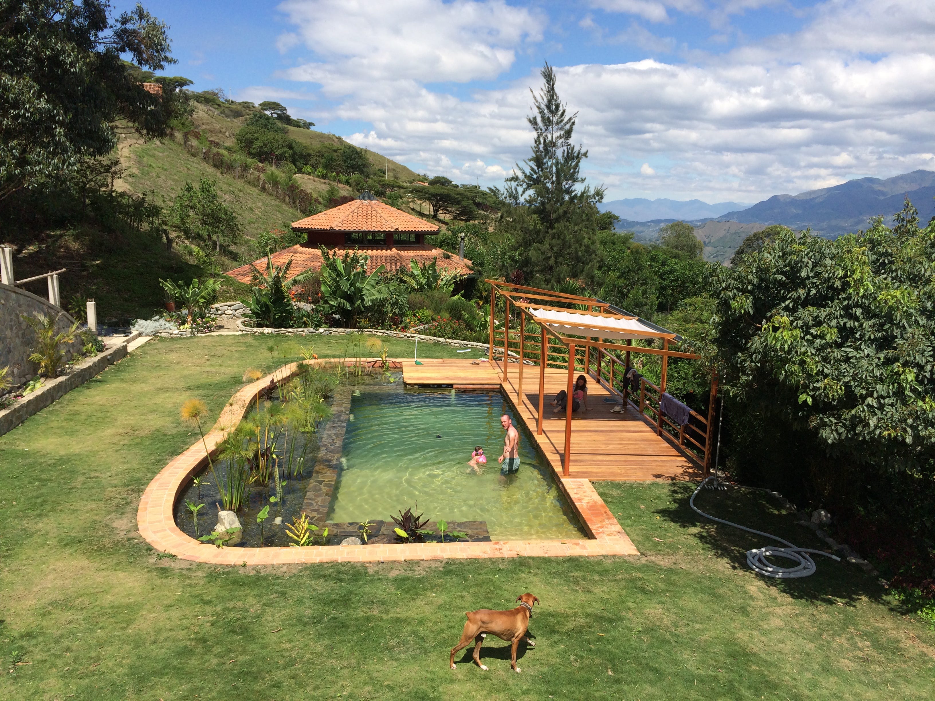 Pool Gallery - Organic Pools by David Pagan Butler