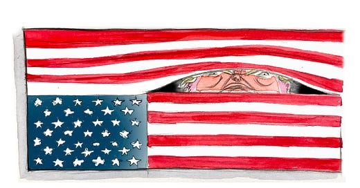 Ann Telnaes | Substack