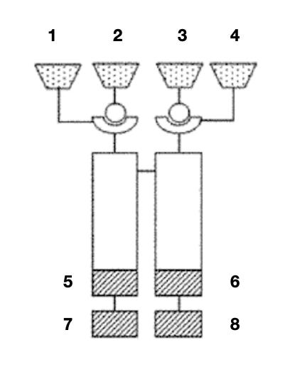 The maturation process of lymphocytes and how Anktiva, an IL-15 ...