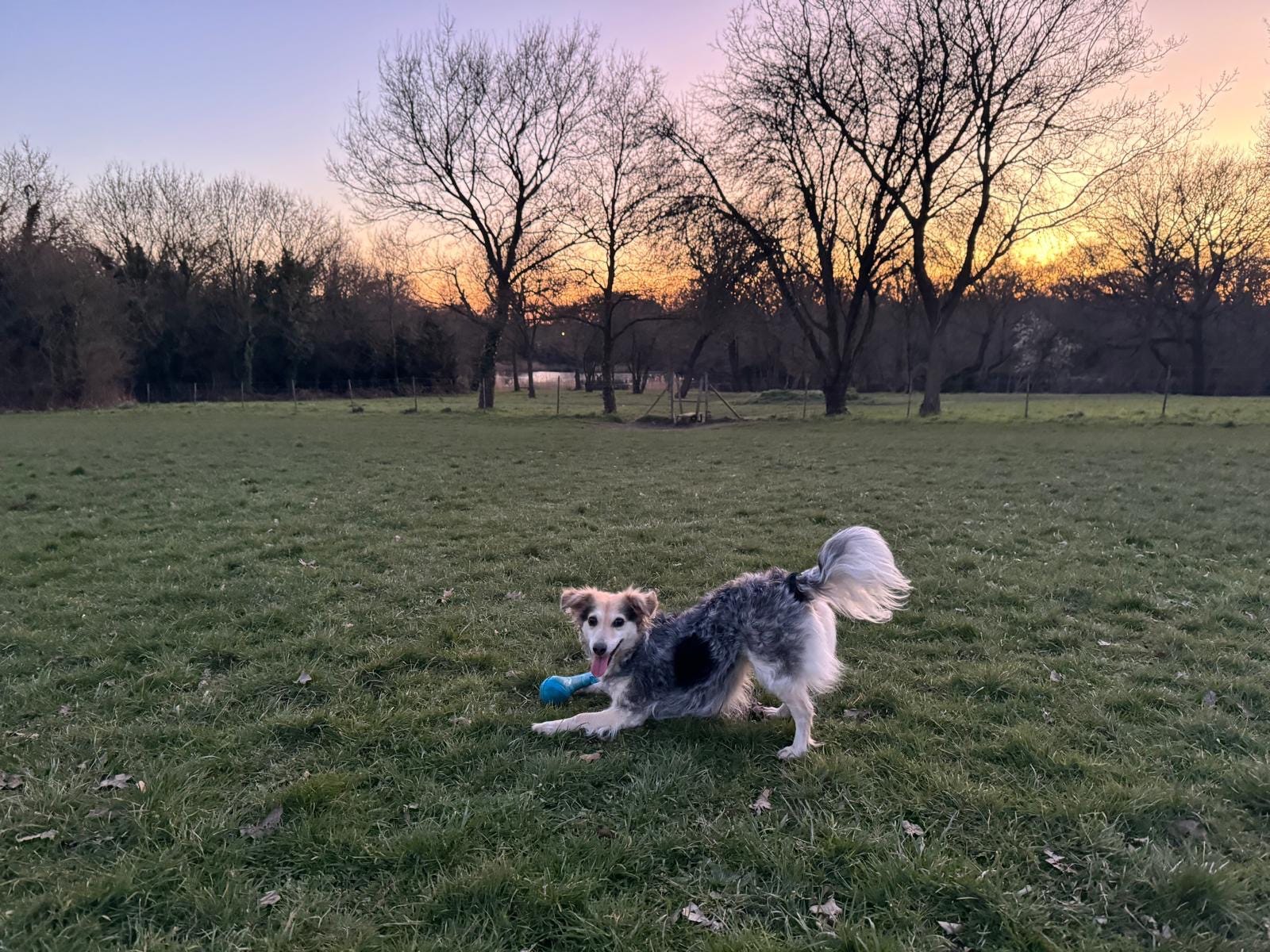 Hello, Substack! - by Evanna Lynch - Penfriendship