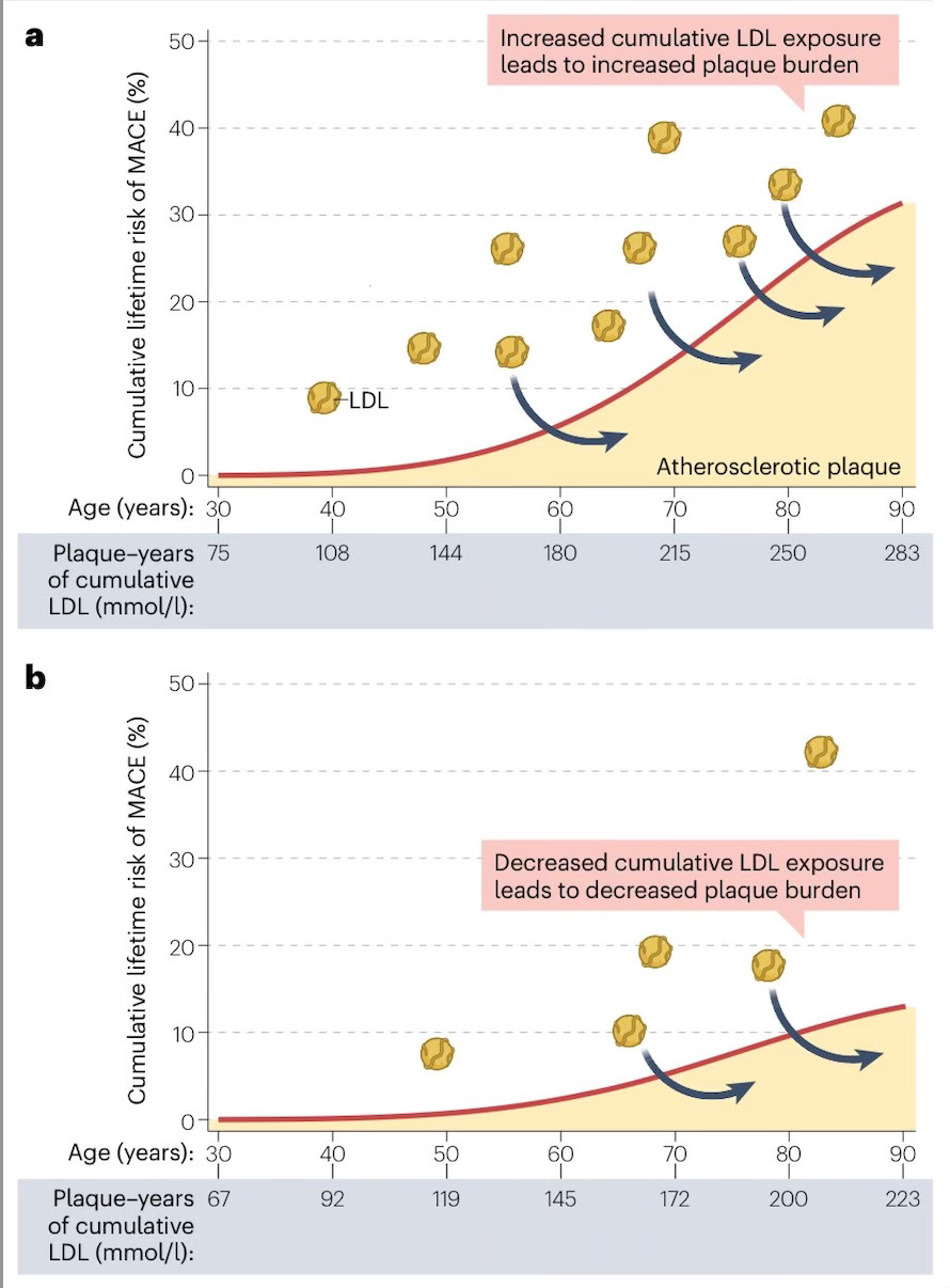 ldl cholesterol high chart