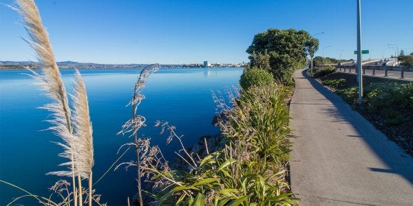 Tauranga City Council needs a sustainable plan