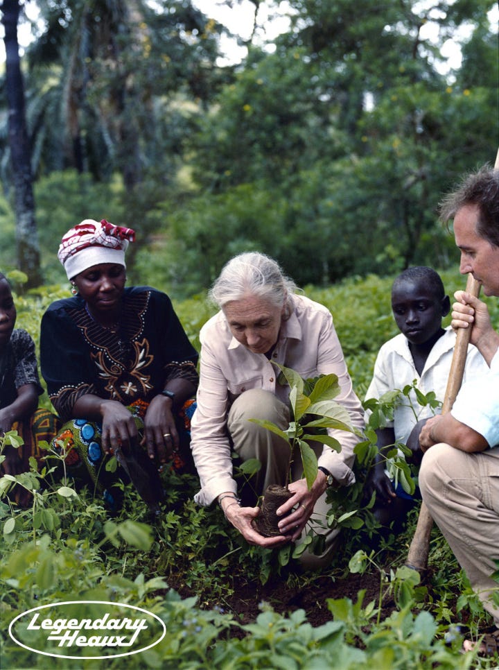 Legendary Heaux-bituary: Dr. Jane Goodall