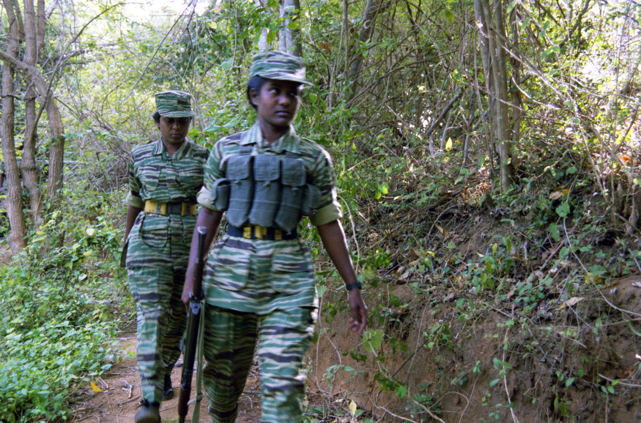 The Rise of the LTTE: From Margins to Militancy