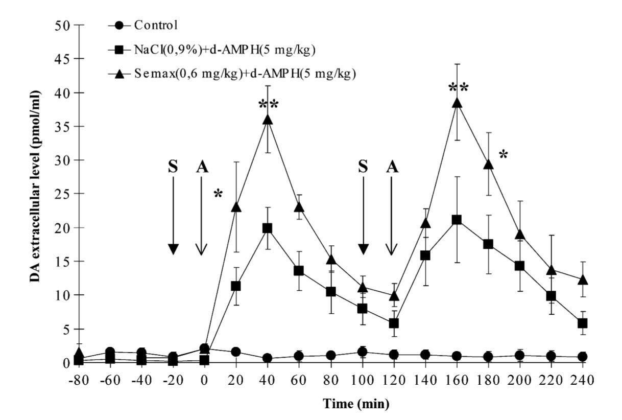 Semax: The Nootropic Peptide - BowTiedNeuron’s Substack