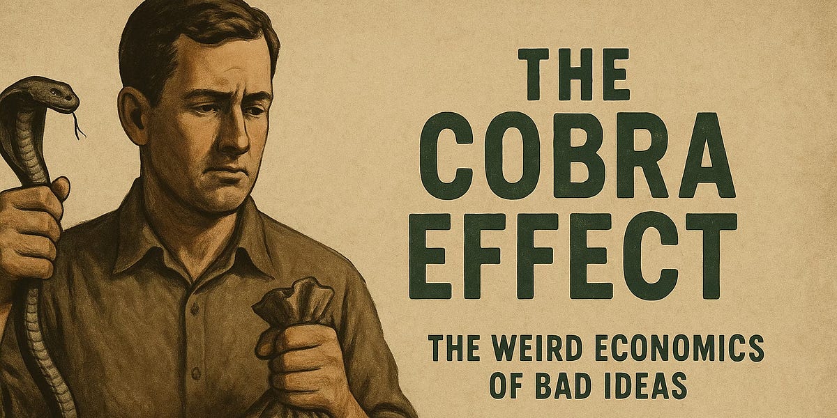 The Cobra Effect: The Weird Economics Of Bad Ideas