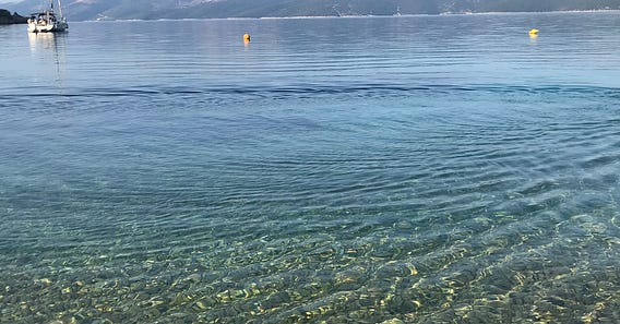 EMILY’s Substack | EMILY WILSON | Substack