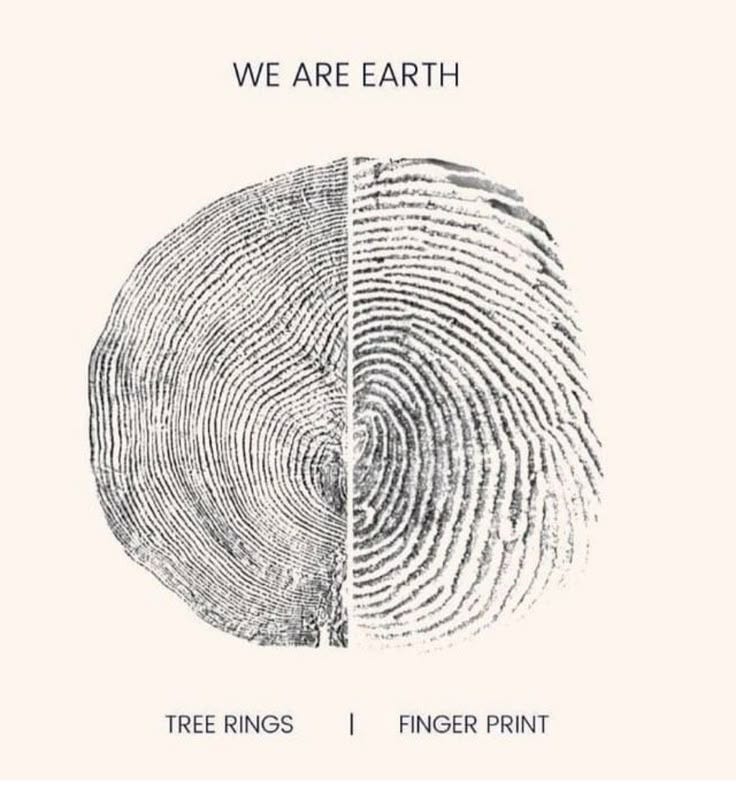 The Tree of Liberation Praxis - by Rohini Walker