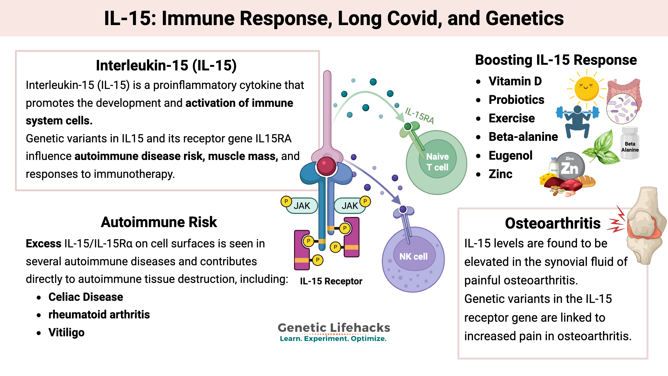 Interleukin-15 (IL-15): Immune response, cancer, long Covid, and ...